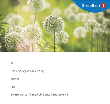 Gavekort mal til pengegave | SpareBank 1